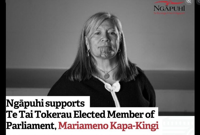 ‘Unless something drastic happens’: Ngāpuhi’s chair signals Te Pāti ...