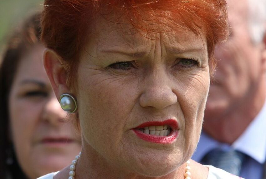 Australia’s One Nation overtakes major parties in new poll | CENTRIST